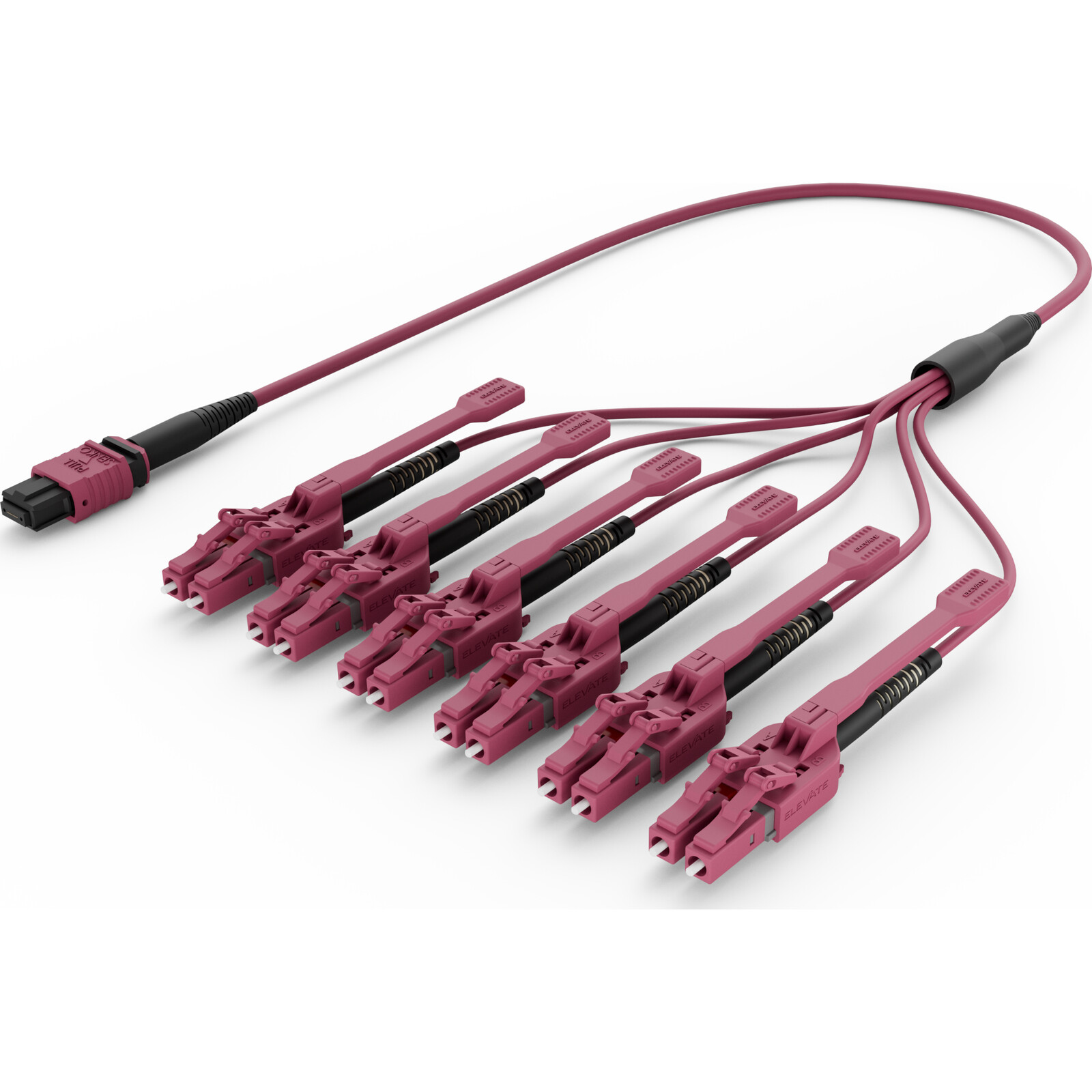 208-12-OS2-12-MPOM-LCTAB-B040 - Elevate Base12 OS2 12 Fibre MPO Male to ...