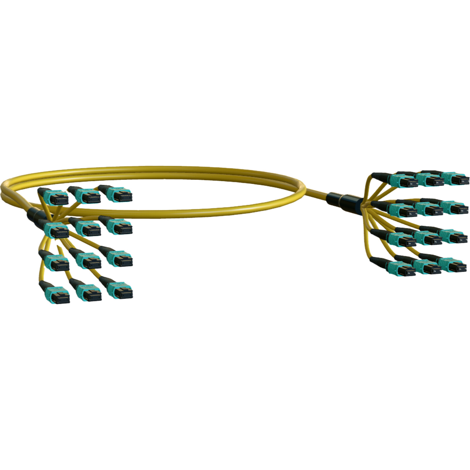 208-12-OS2-144-MPOF-MPOM-B150 - Elevate Base12 OS2 144 Fibre MPO Female ...